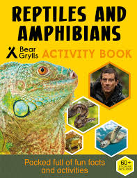 Reptiles And Amphibians – Books Alive